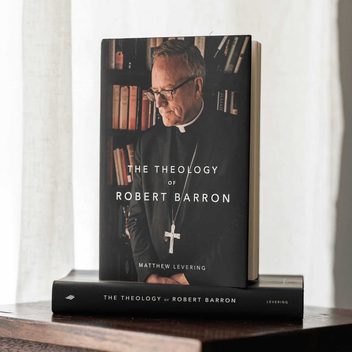 The Theology of Robert Barron – Word on Fire