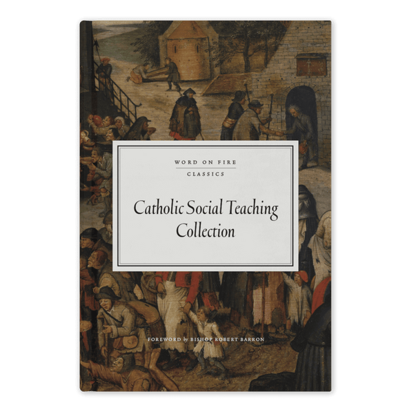 Catholic Social Teaching Collection – Word on Fire