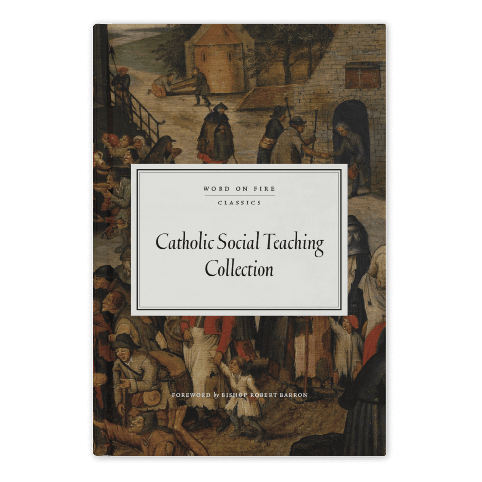 Catholic Social Teaching Collection – Word on Fire