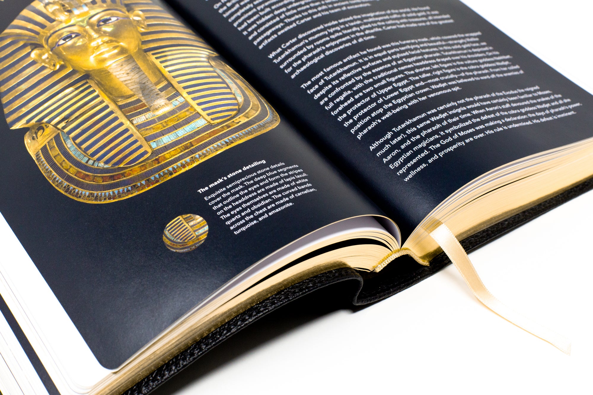 The Word on Fire Bible (Volume III): The Pentateuch