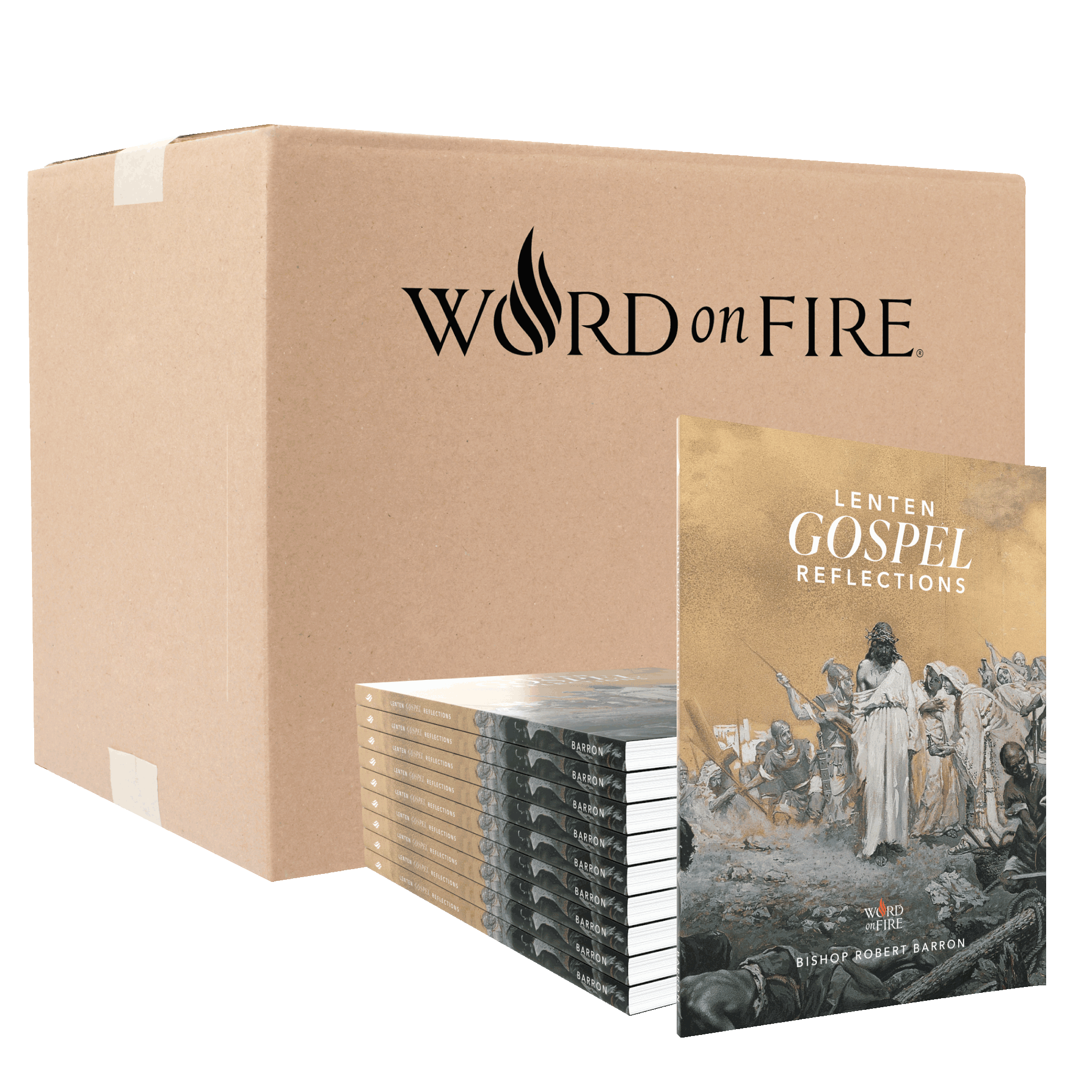 Books – Word on Fire