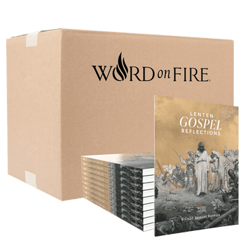 Books – Word on Fire