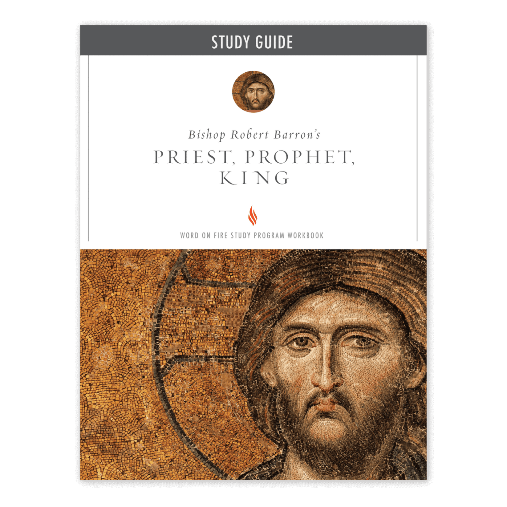Priest, Prophet, King Study Guide – Word on Fire