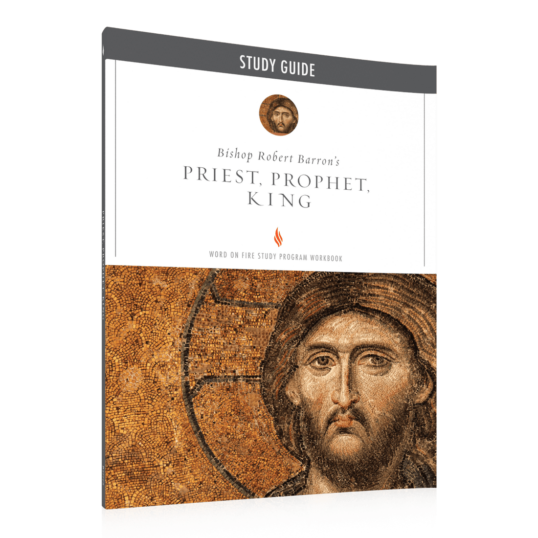 Priest, Prophet, King Study Guide – Word on Fire