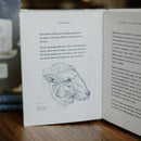 The Riddle of the Tongue-Stones – Word on Fire