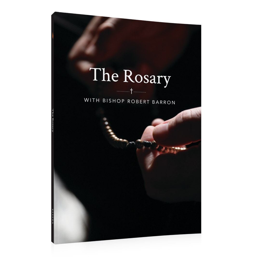 Bishop Robert Barron – Word on Fire
