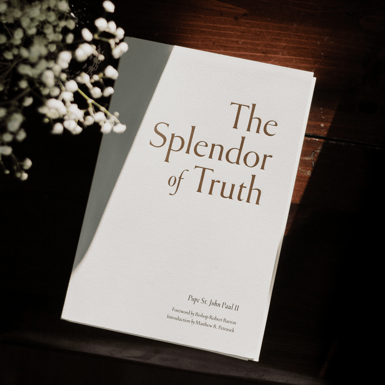 The Splendor of Truth – Word on Fire
