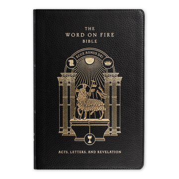 The Word on Fire Bible