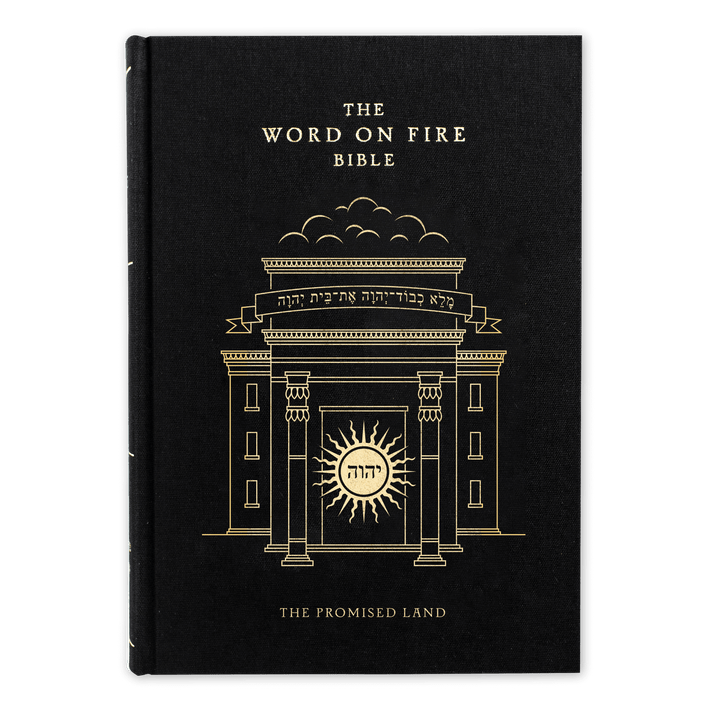Bible Checkout – Word on Fire