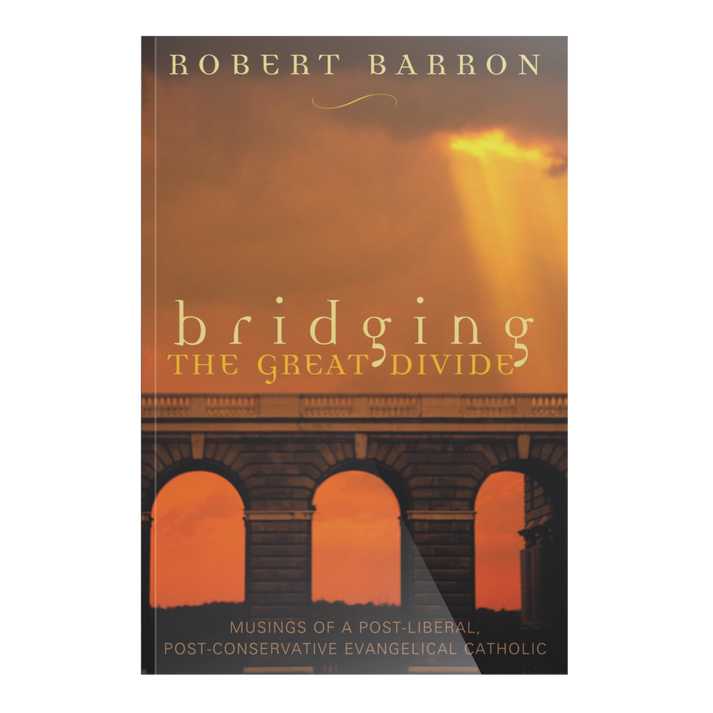 Bridging The Great Divide – Word on Fire